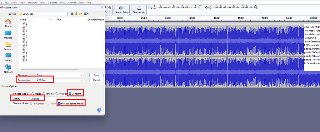 Permanent Settings for Format Options - Audacity 3 Help Forum ...