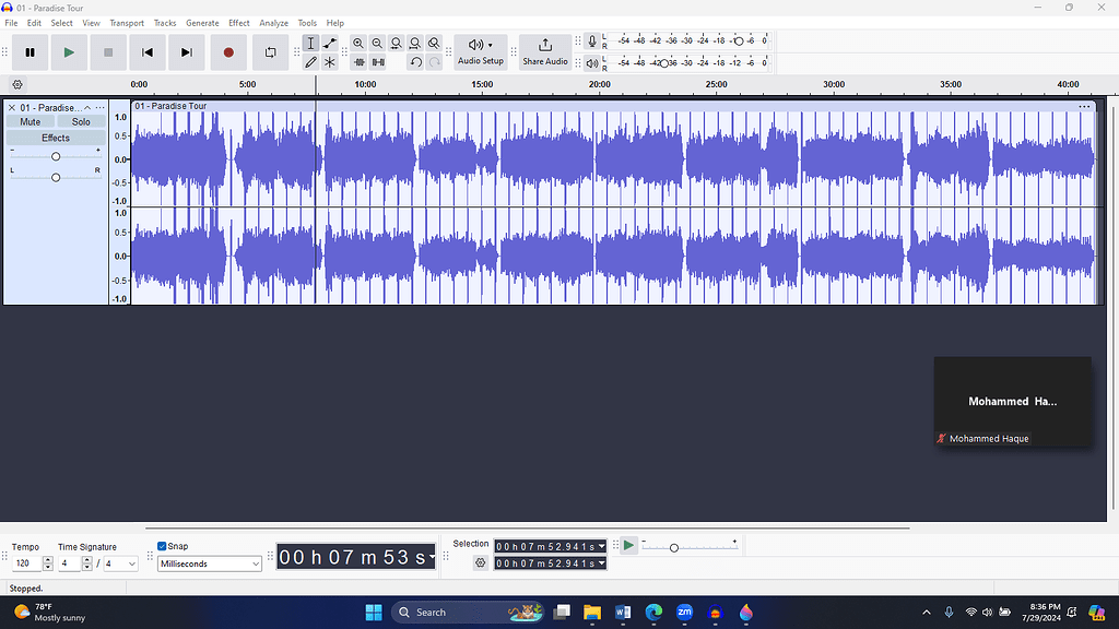 Audacity Audio Wave Issue - Audacity Help Forum - Audacity Forum