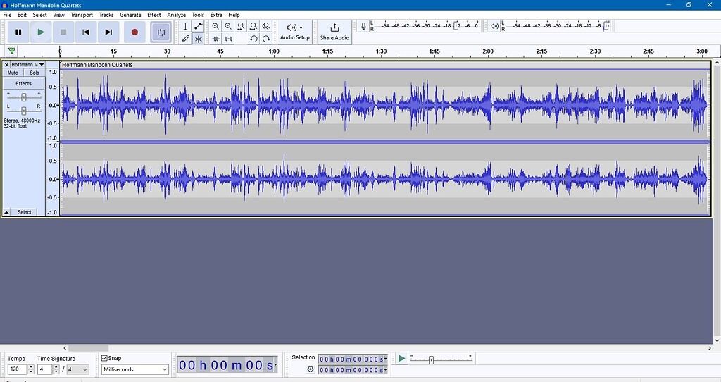Extra shadings in middle ot two stereo tracks - Audacity 3 Help Forum - Audacity Forum