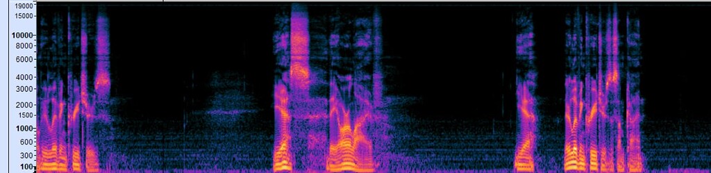 Interpret Spectrogram - Audio Processing - Audacity Forum