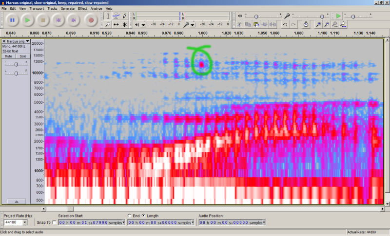 Clicks/Beeps in Recorded Audio w. Video Examples - Windows - Audacity Forum