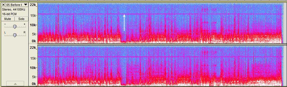 Horizontal line in Spectrogram view - Windows - Audacity Forum