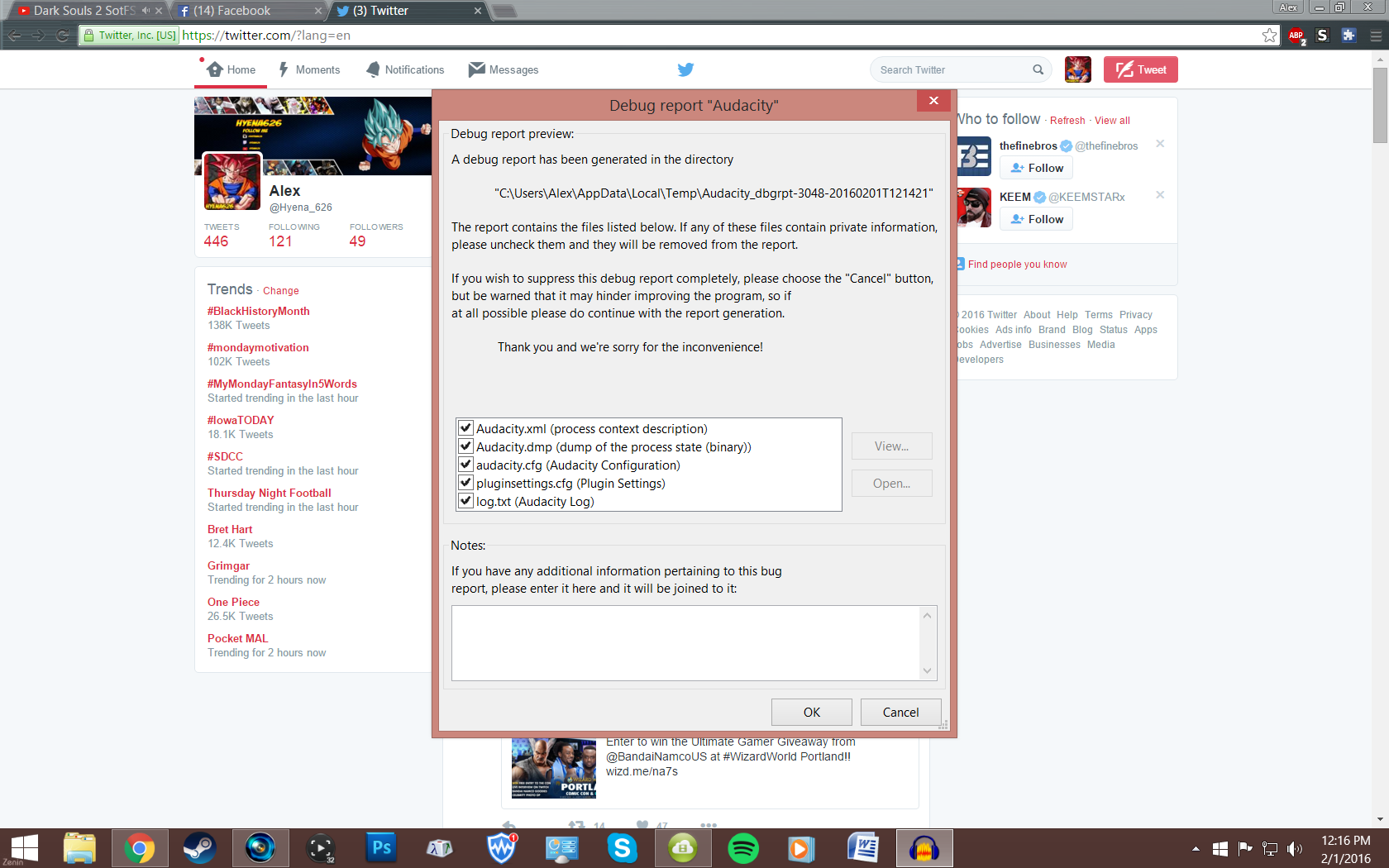 Audacity Debug Report Help? - Windows - Audacity Forum