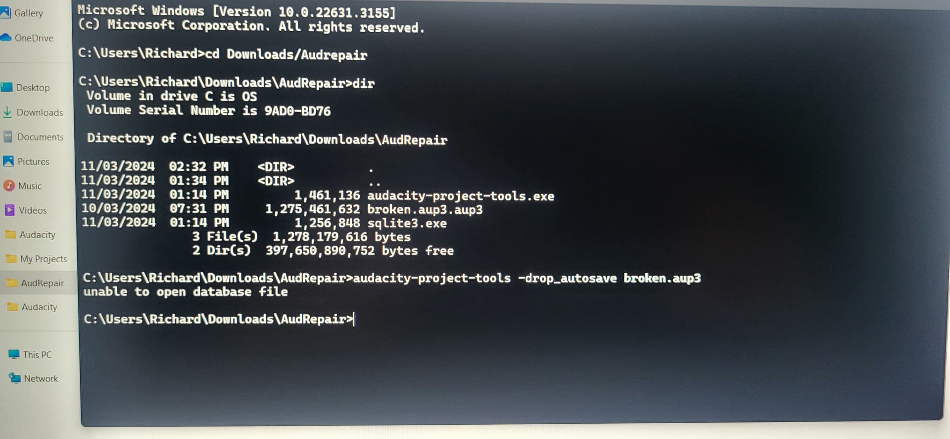 Audacity failing to open file and fix wont go through - Windows - Audacity Forum