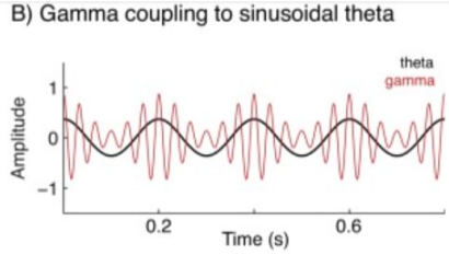 Phase amplitude coupling? - Windows - Audacity Forum
