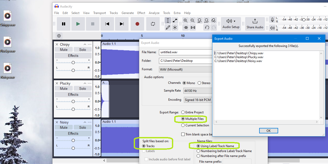 Naming export files - Windows - Audacity Forum