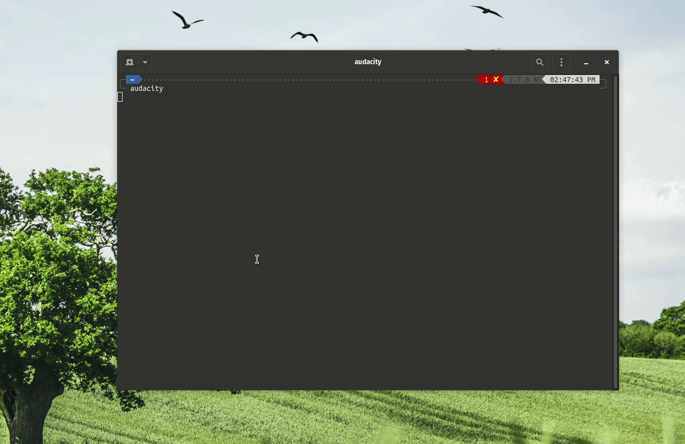 Audacity Taking a LONG time to start up - GNU/Linux - Audacity Forum